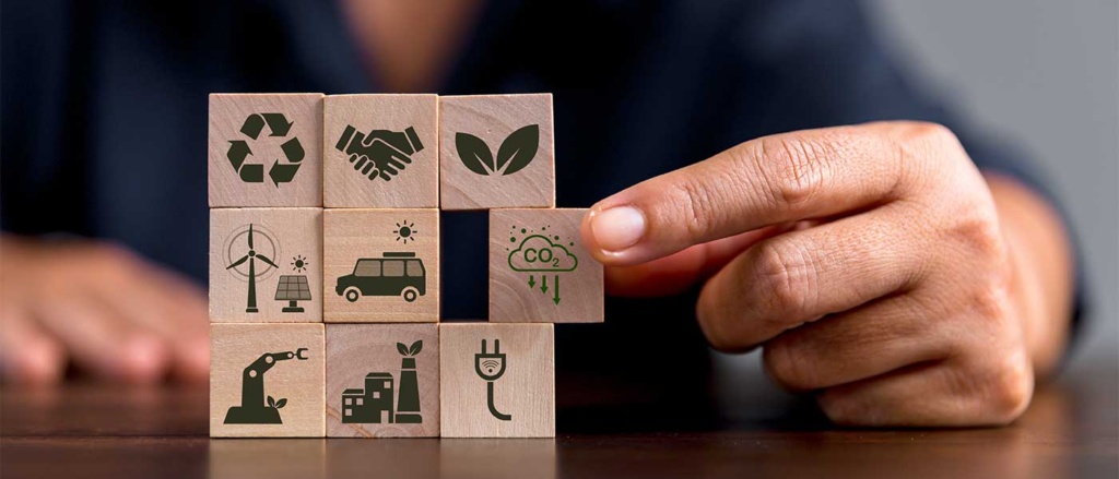 Carbon Offsetting and Emissions Reduction Strategies - 20Cube Logistics